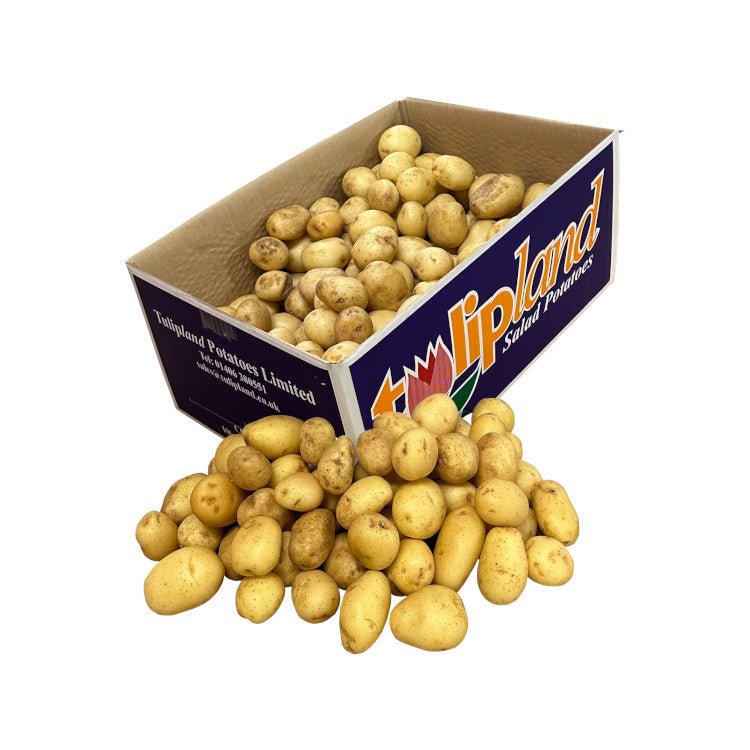 Wholesale New Potato Supplier - 10kg | Bulk Discounts London