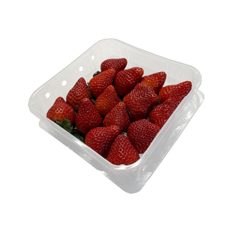 Fresh Strawberry Punnet 400g: Wholesale Suppliers & Bulk Prices