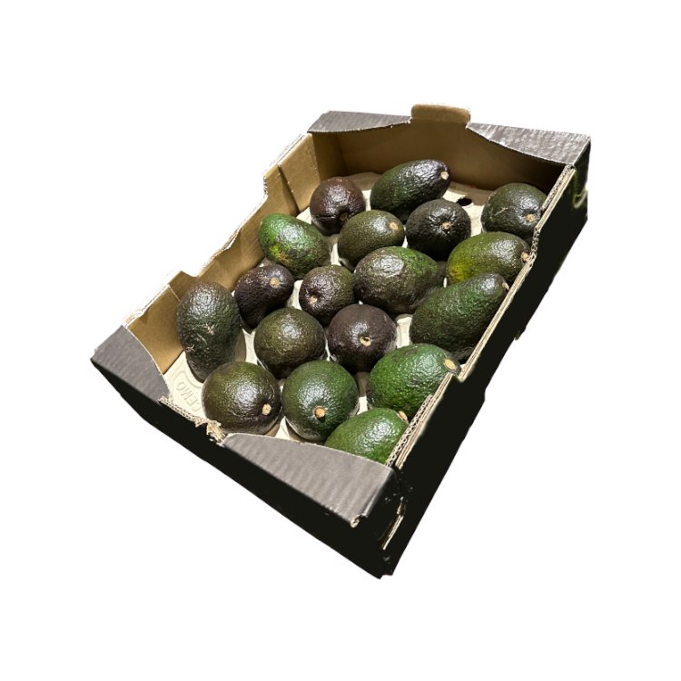 Fresh Avocado Box: Wholesale Prices in London