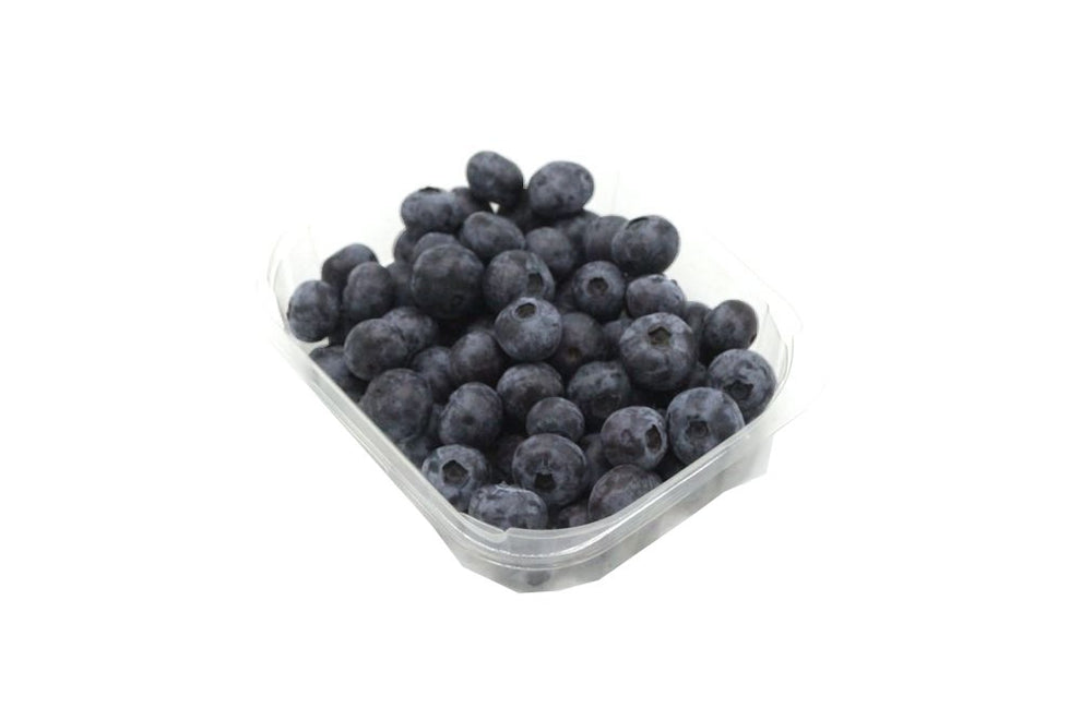 Fresh Blueberries (12 x 125g) | Bulk Suppliers in London